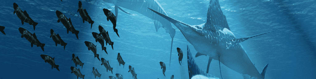 Marlin vs Swordfish - 3 Easy Ways to Tell the Difference